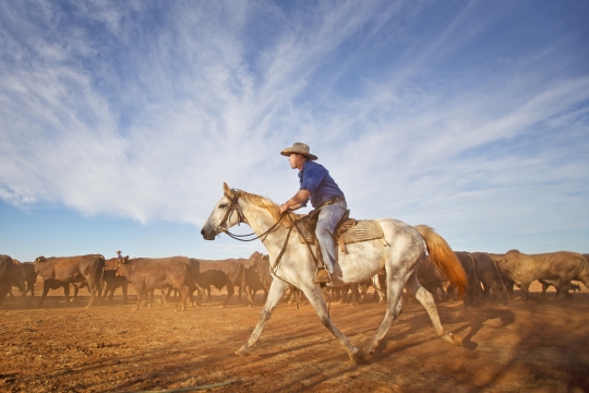 Muster – Nathan Dyer