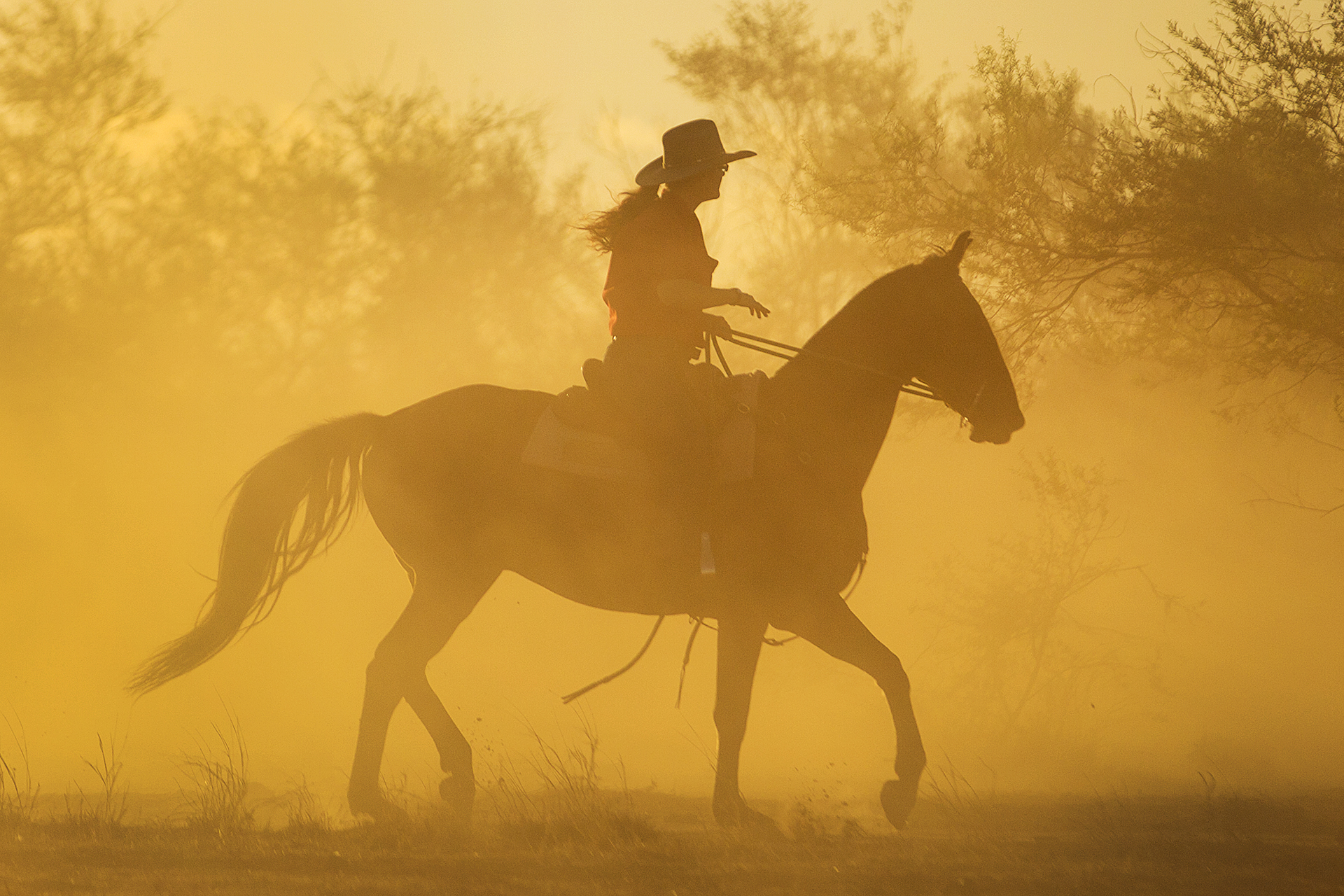 Muster – Nathan Dyer